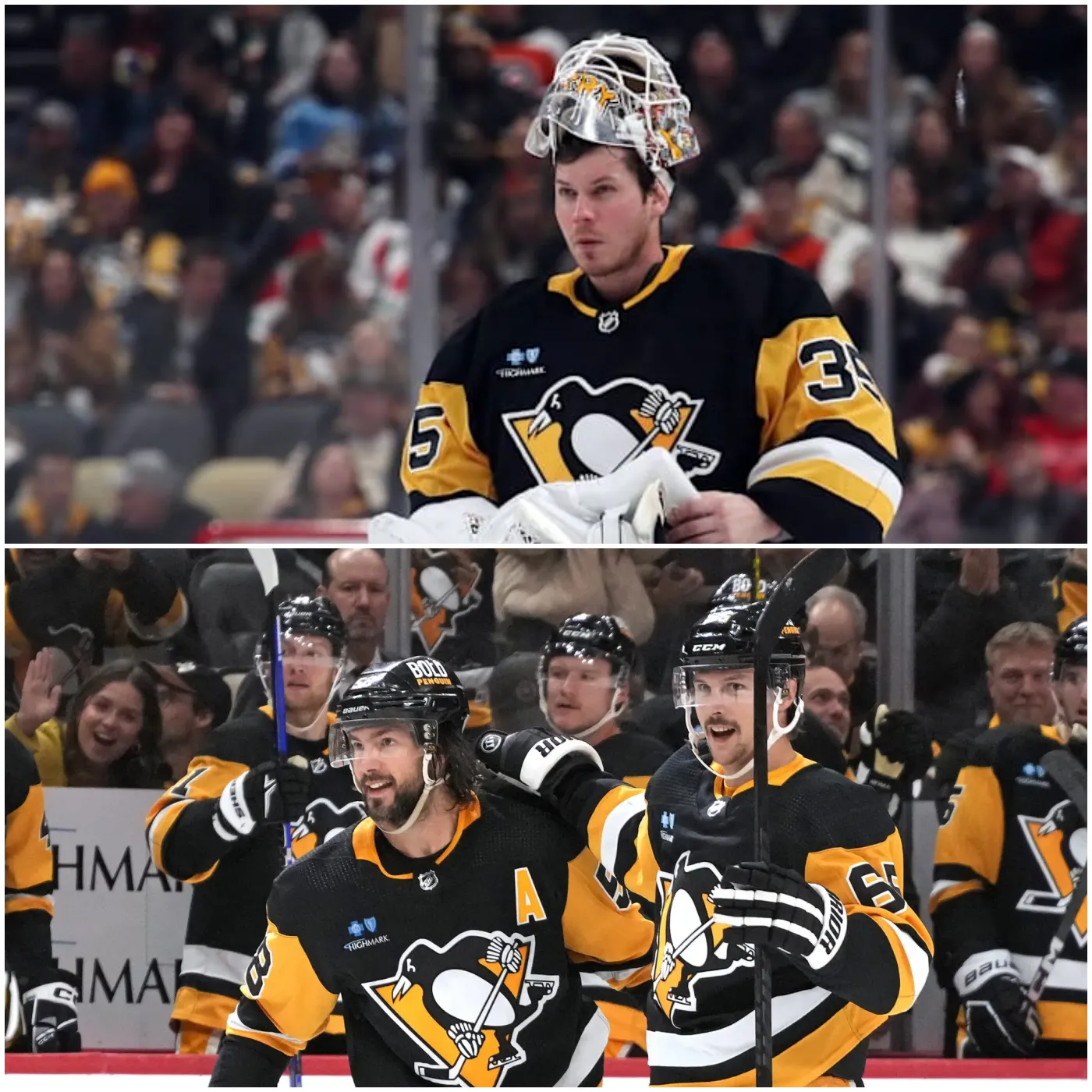 Injury Update On The San Jose Sharks, Kovalenko And Kostin Is Status ...